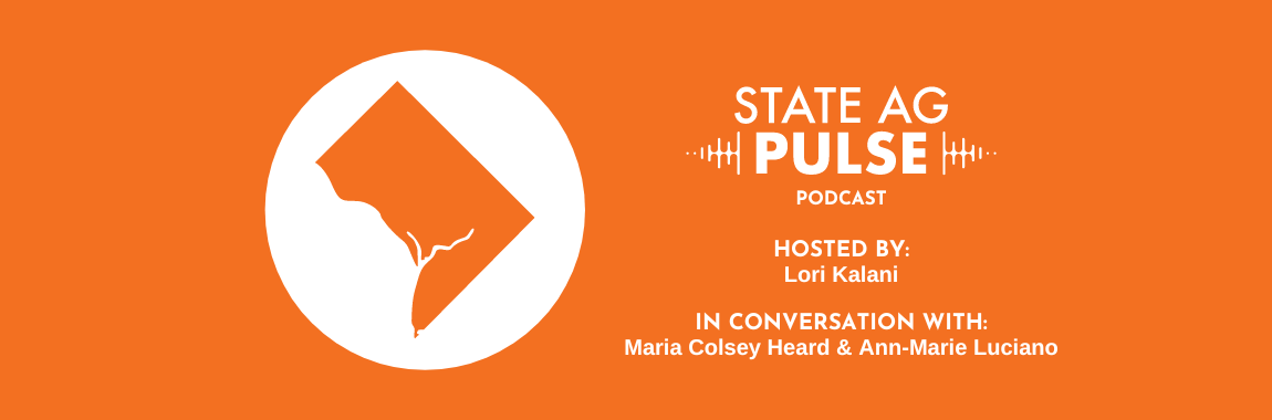 Local Job, National Impact - The State AG Report